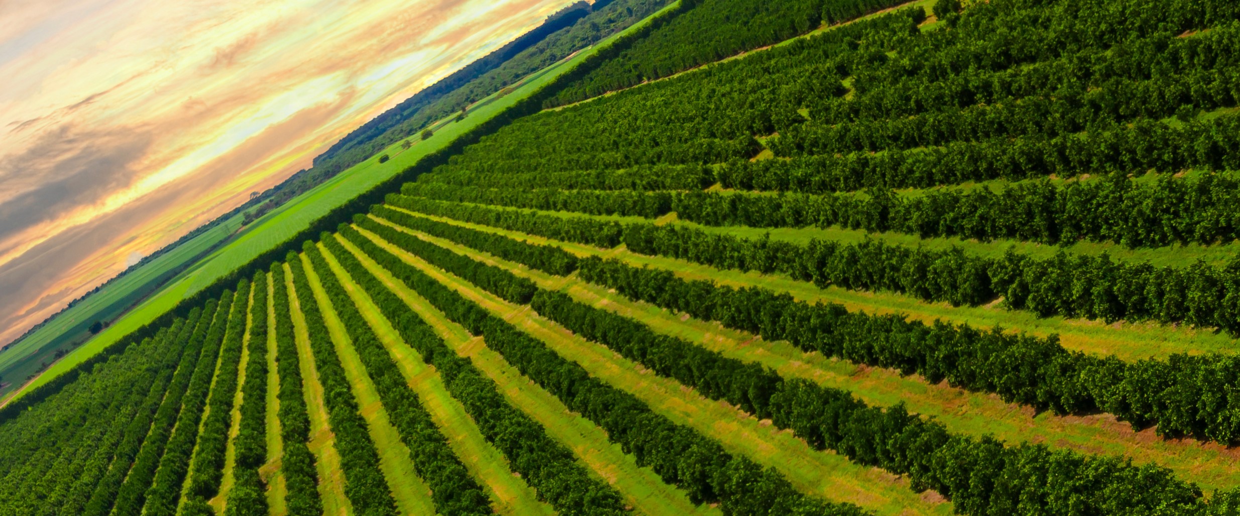 Navigating the Green Maze: What the PRA’s 2025 Climate Risk ...